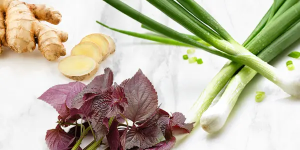 Spring Onion Ginger Perilla Leaf Tea – PULSE TCM