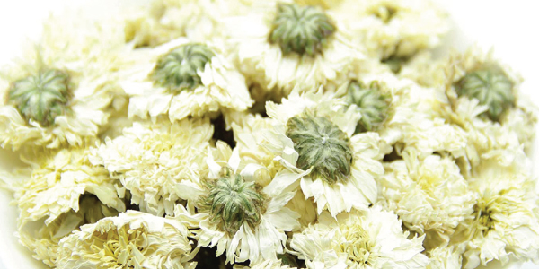 Chrysanthemum Wolfberry tea - PULSE TCM